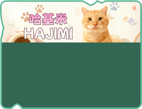 Hajimi Web